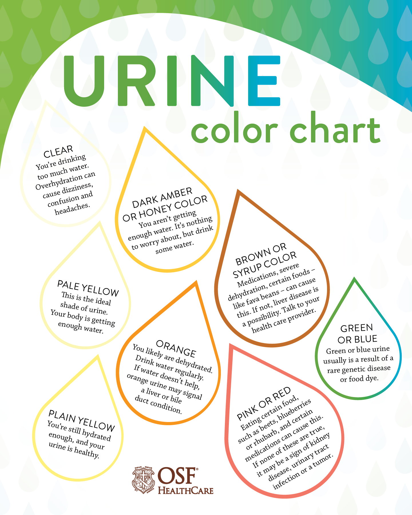 What color should your urine be? | OSF HealthCare - 法国对丹麦预测